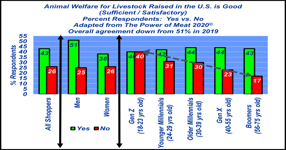 Power of Meat | Consumer perspectives on animal welfare