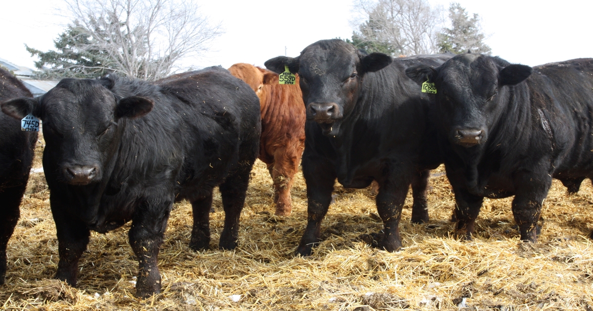 What are optimal EPDs and is the data reliable?