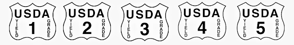 Beef quality grades explained (2025)