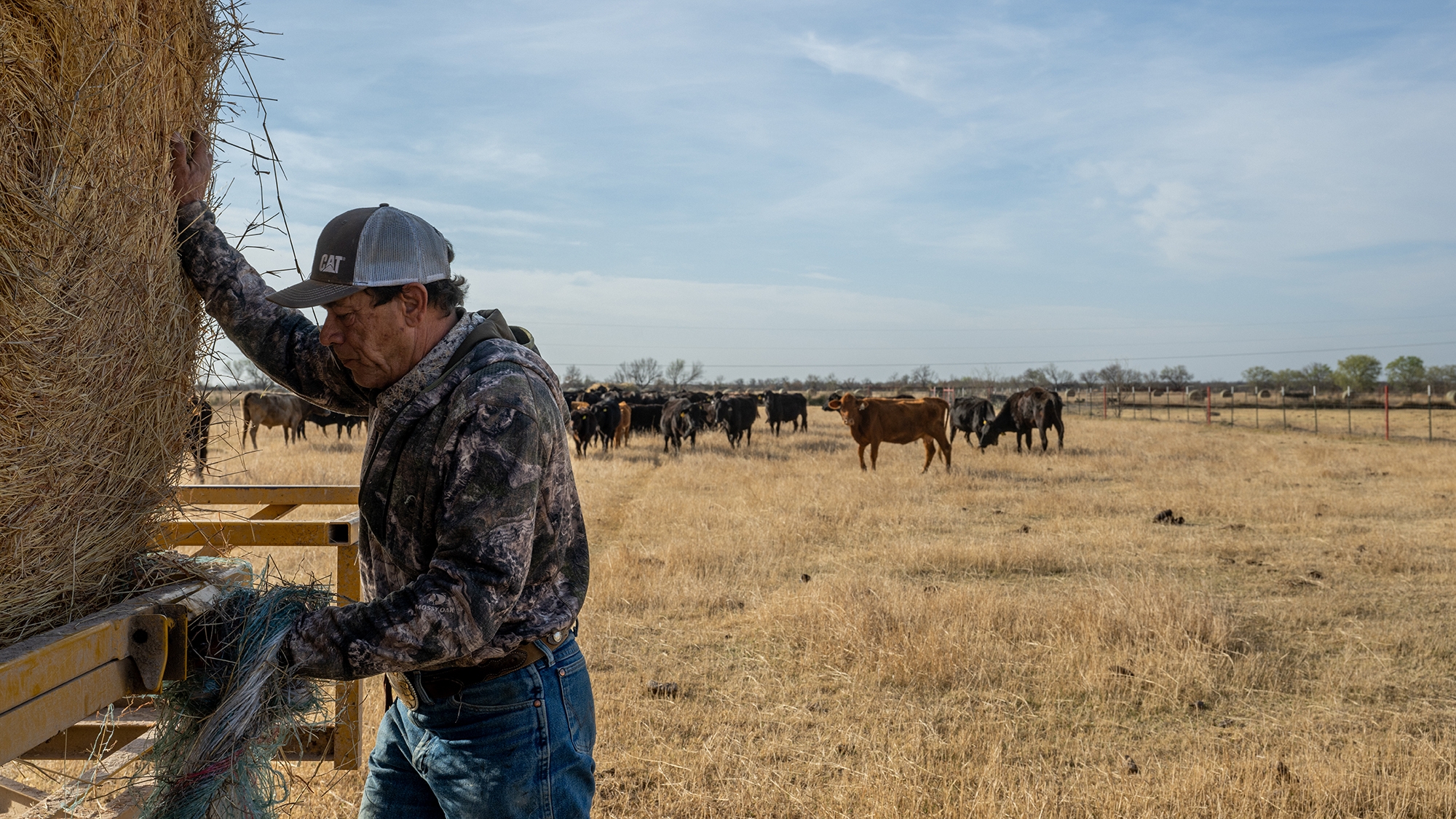 What’s next for cattle and beef markets?