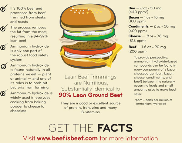 What Is Lean Finely Textured Beef?