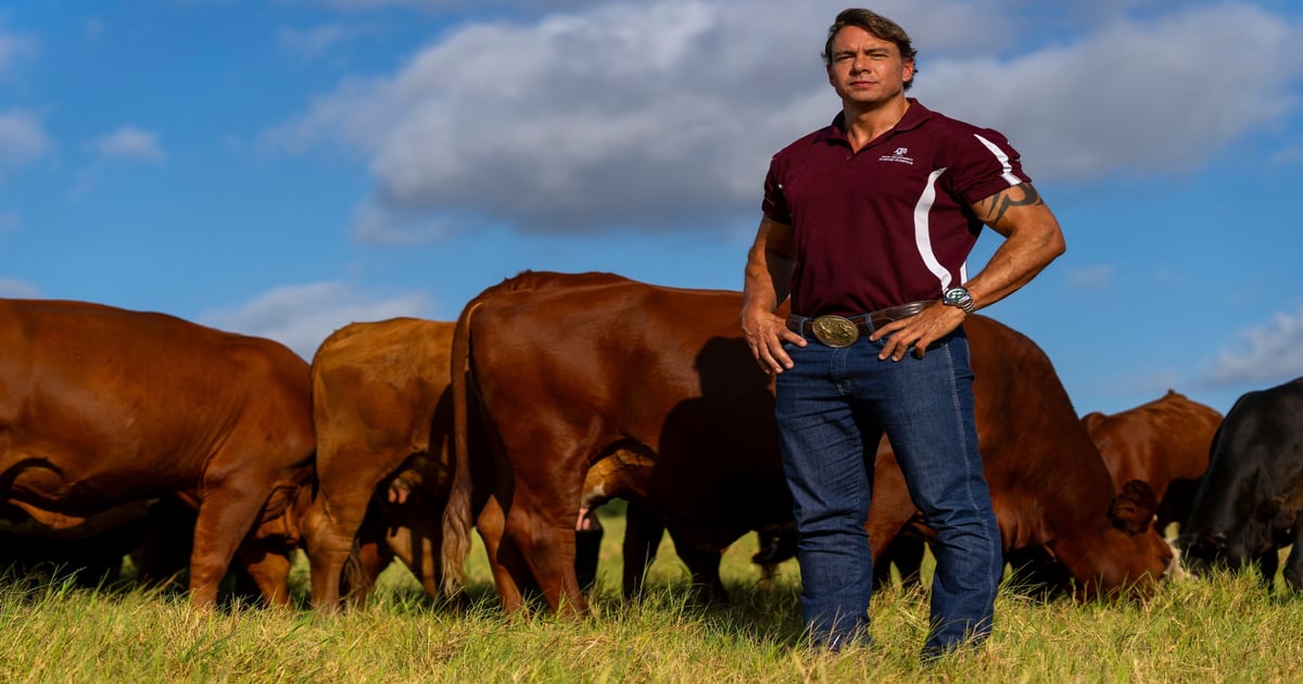 Texas A&M AgriLife extends beef cattle expertise internationally