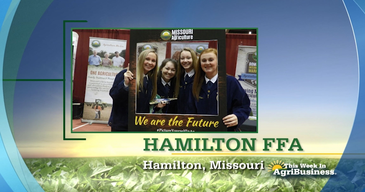 Hamilton FFA