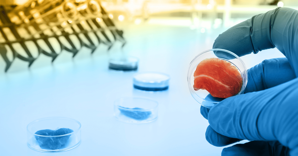 Bill Gates says rich nations need to move to ‘100% synthetic beef’