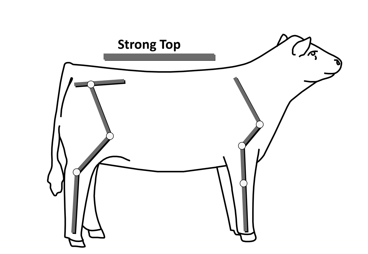 Does the show ring matter in the cow pasture?
