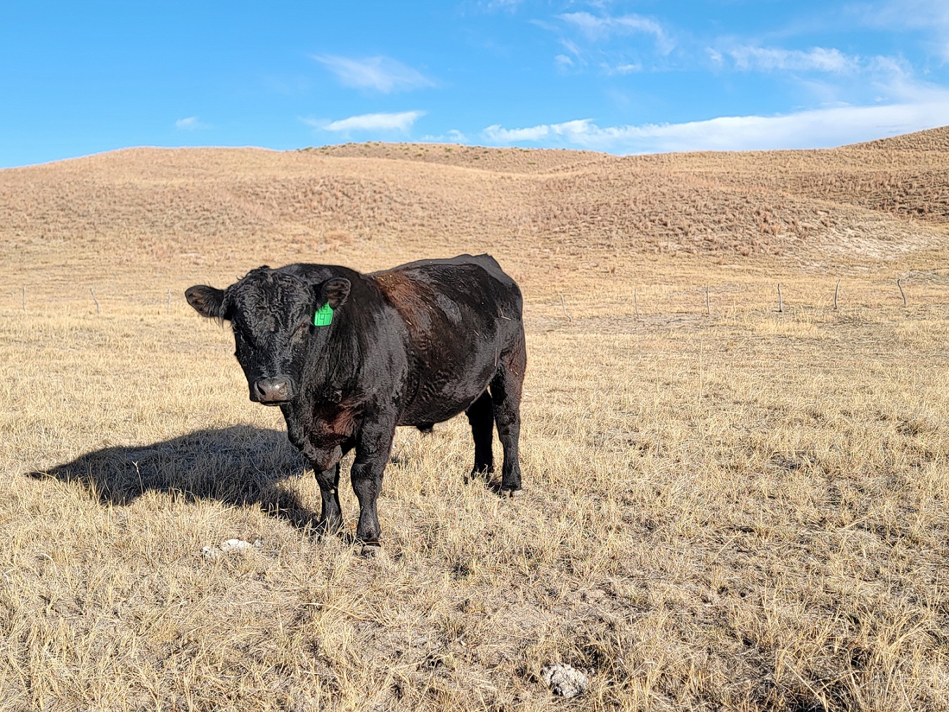 Don't wait! Schedule your early