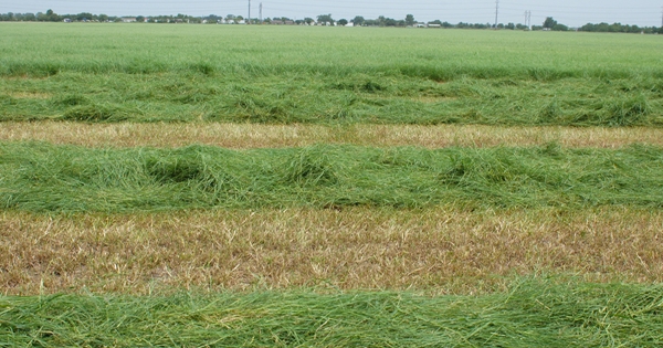 How To Put Up Hay Faster