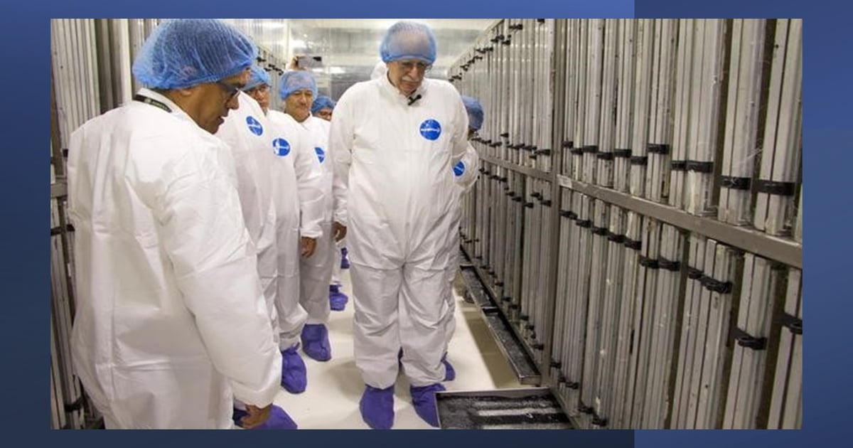 Mexico starts work on sterile fly production plant