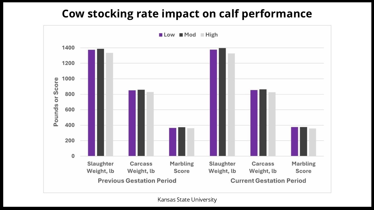 JBS agrees to settlement in cattle antitrust class action