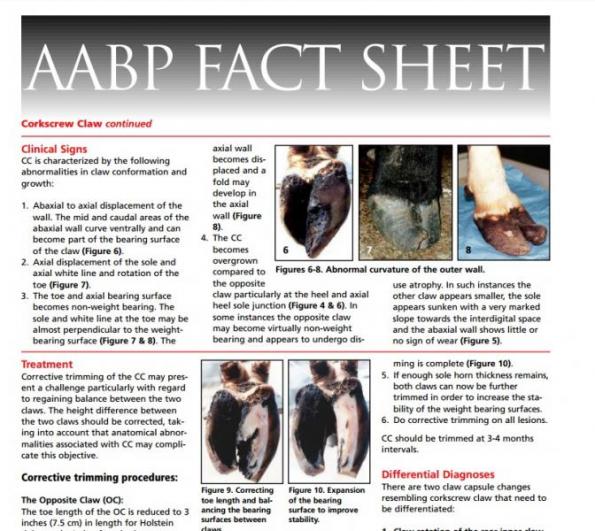 Corkscrew claw is difficult to treat | Beef Magazine
