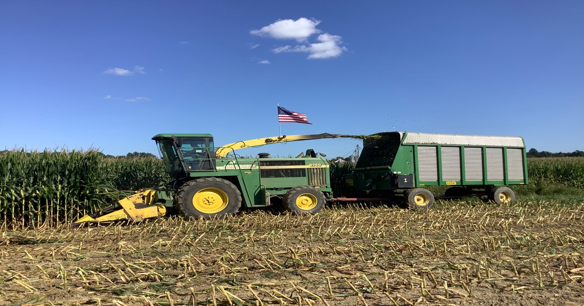 Keep forage nitrate toxicity in mind this year