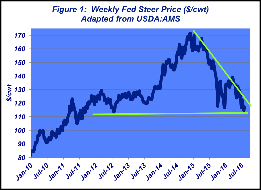 The fed cattle market is poised to tip. Which way will it go?
