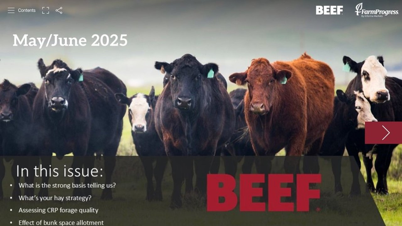 Beef herd dynamics: What’s possible in 2025?