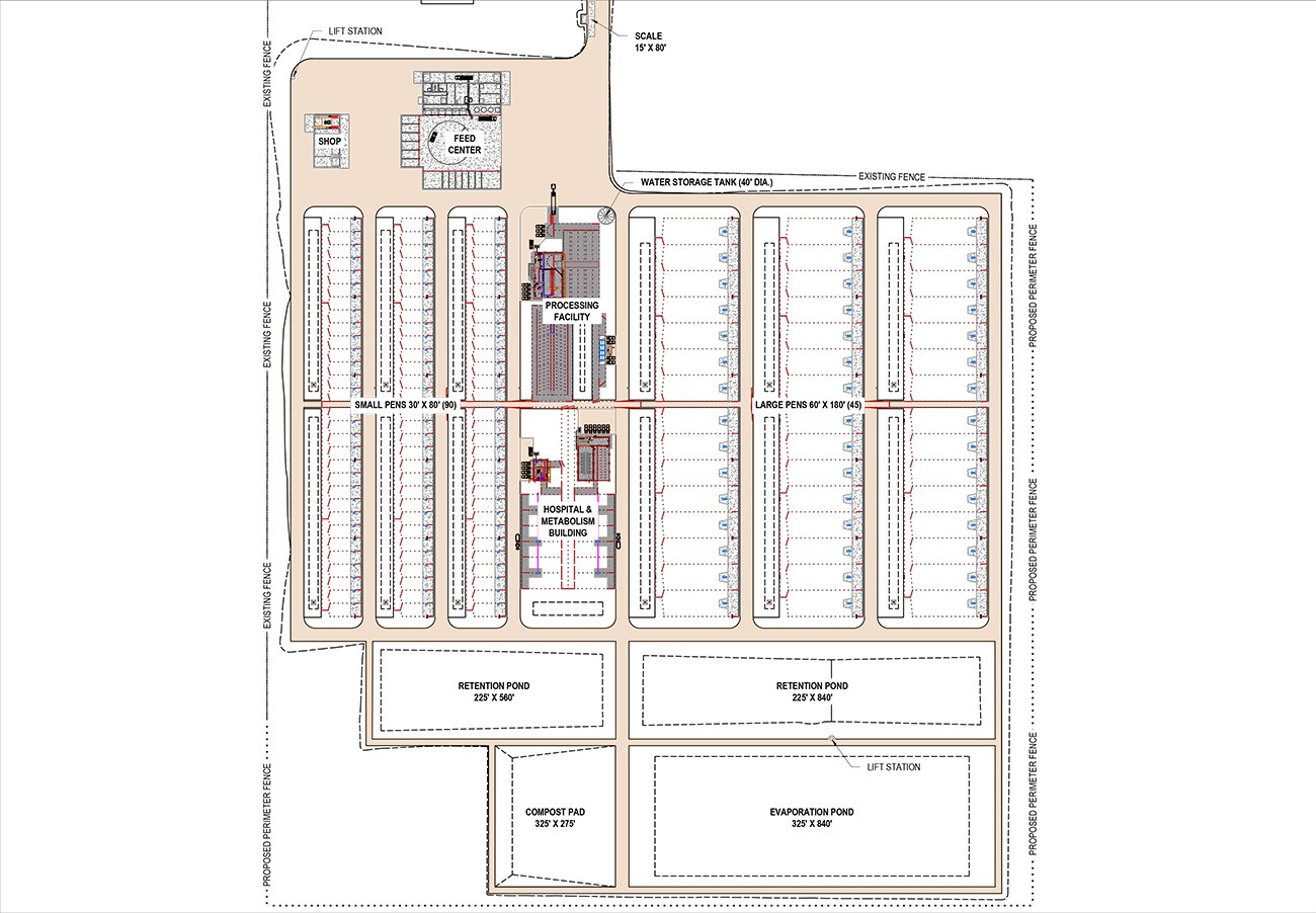 West Texas A&M launches innovative feedlot project