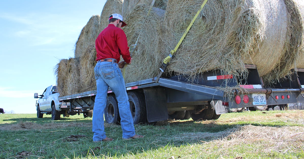 Hay prices soar after drought