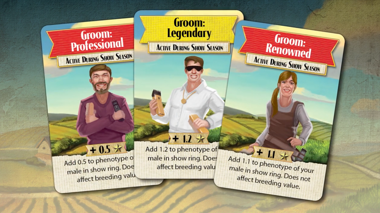 New board game captures excitement & challenge of cattle breeding