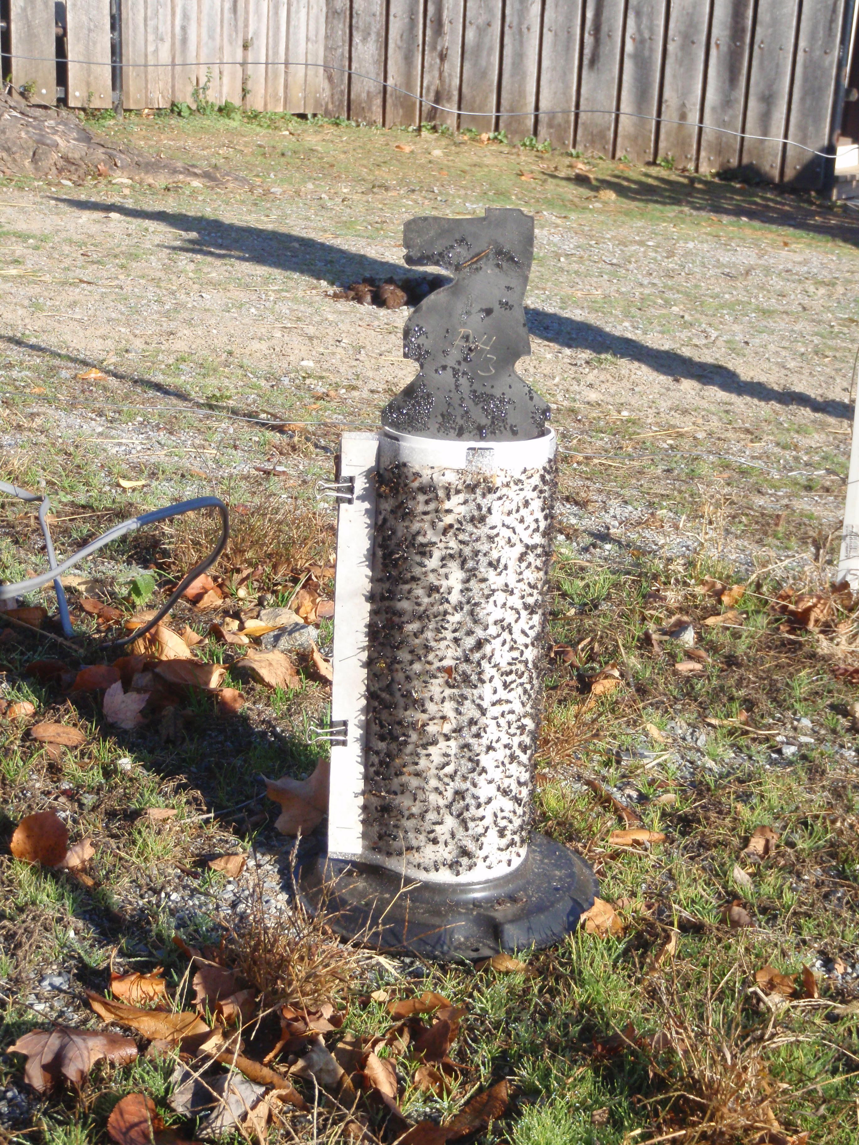 New options in the never-ending stable fly battle