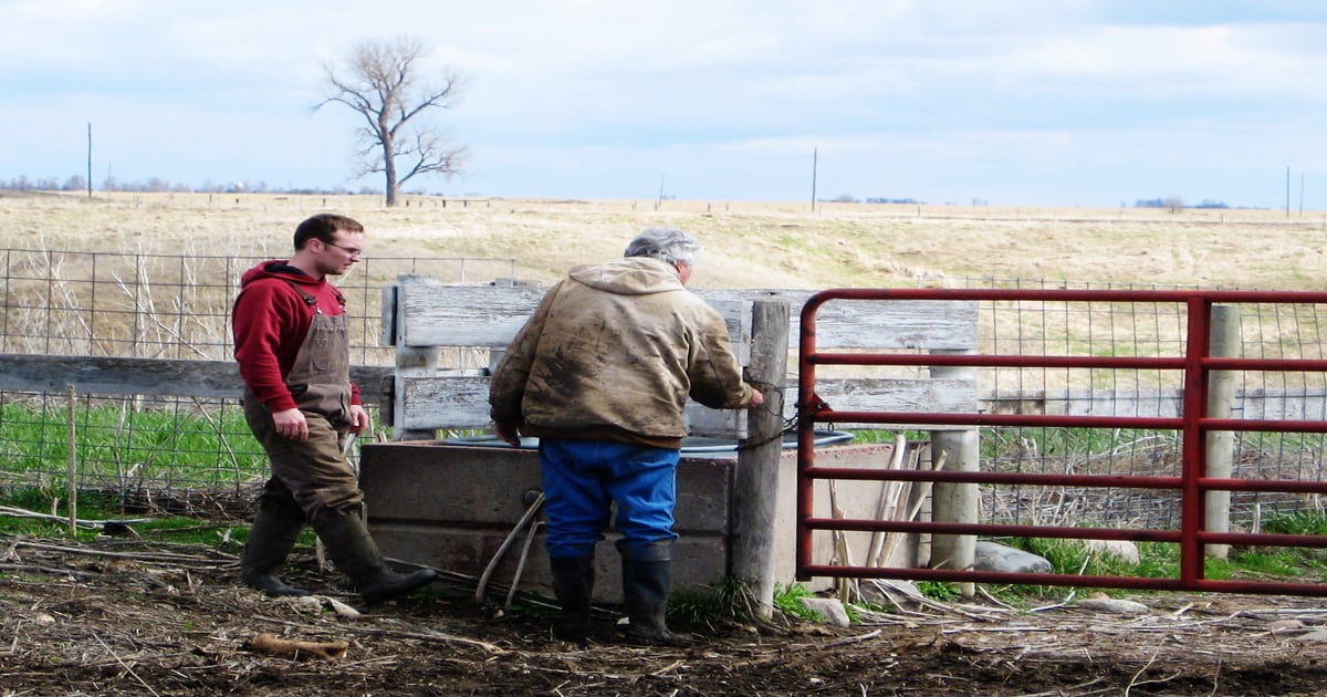 Generations Working Together On The Ranch
