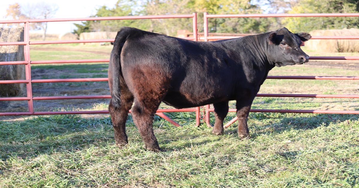 It’s not cow farts; Cattle and climate change link debunked, again.