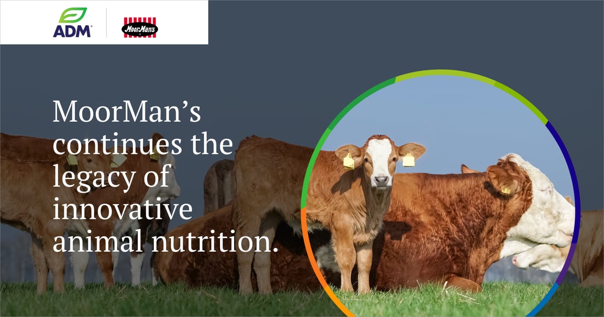 MoorMan’s continues the legacy of innovative animal nutrition