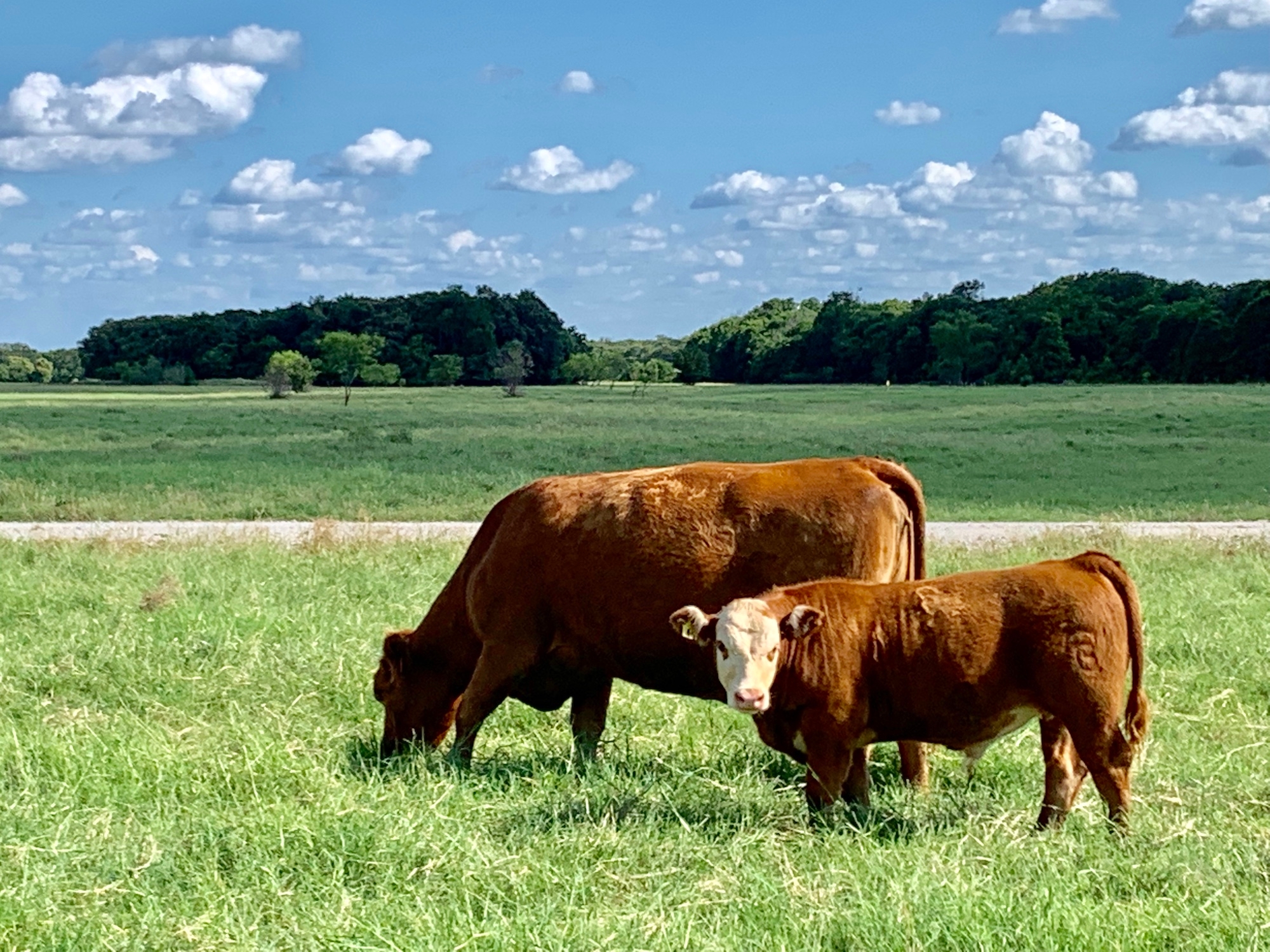 Check out who won the “Picture Perfect Pairs” contest