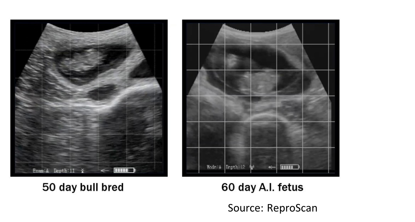 Knowing value in early pregnancy diagnosis