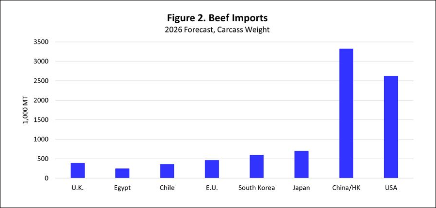 Global beef consumption and imports