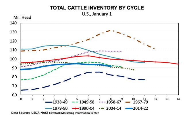The cattle cycle:
