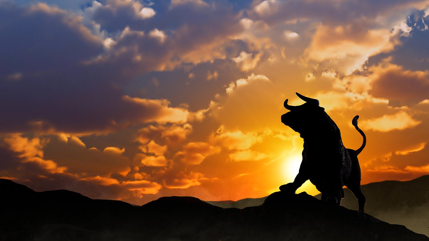 Cattle markets: Reflecting on the bigger picture