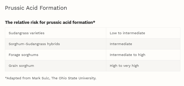 What to know about grazing frosted forages
