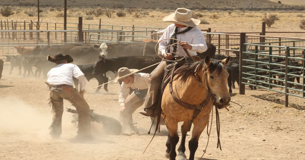10 traits of a hard-working rancher; PLUS: Reader photos of ranches at work