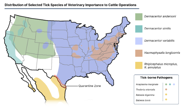 Dangerous hitchhikers: Tick-borne pathogen threats to cattle operations ...