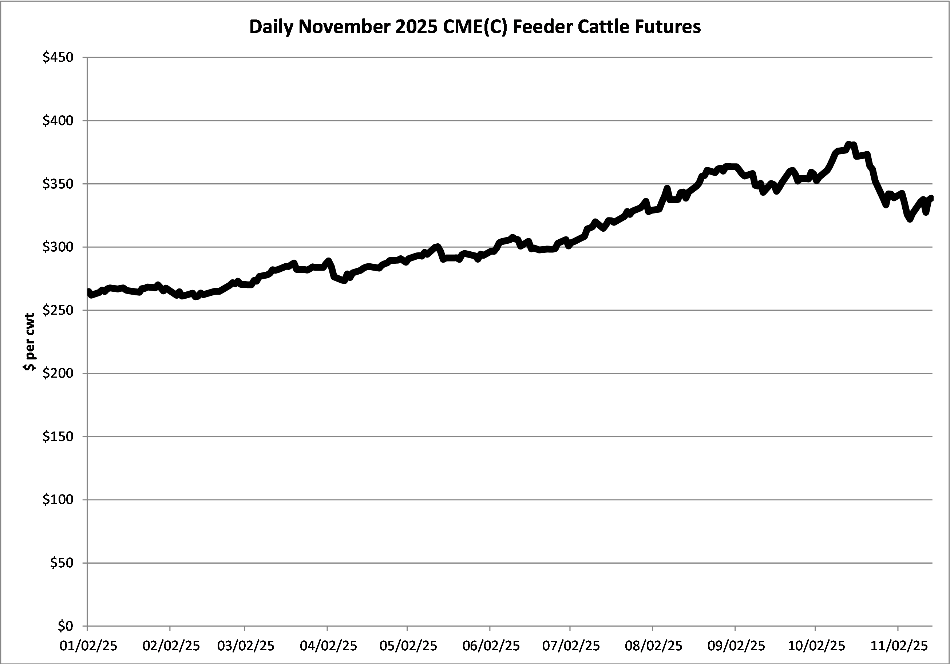 Cattle futures drop $40 in wild October run