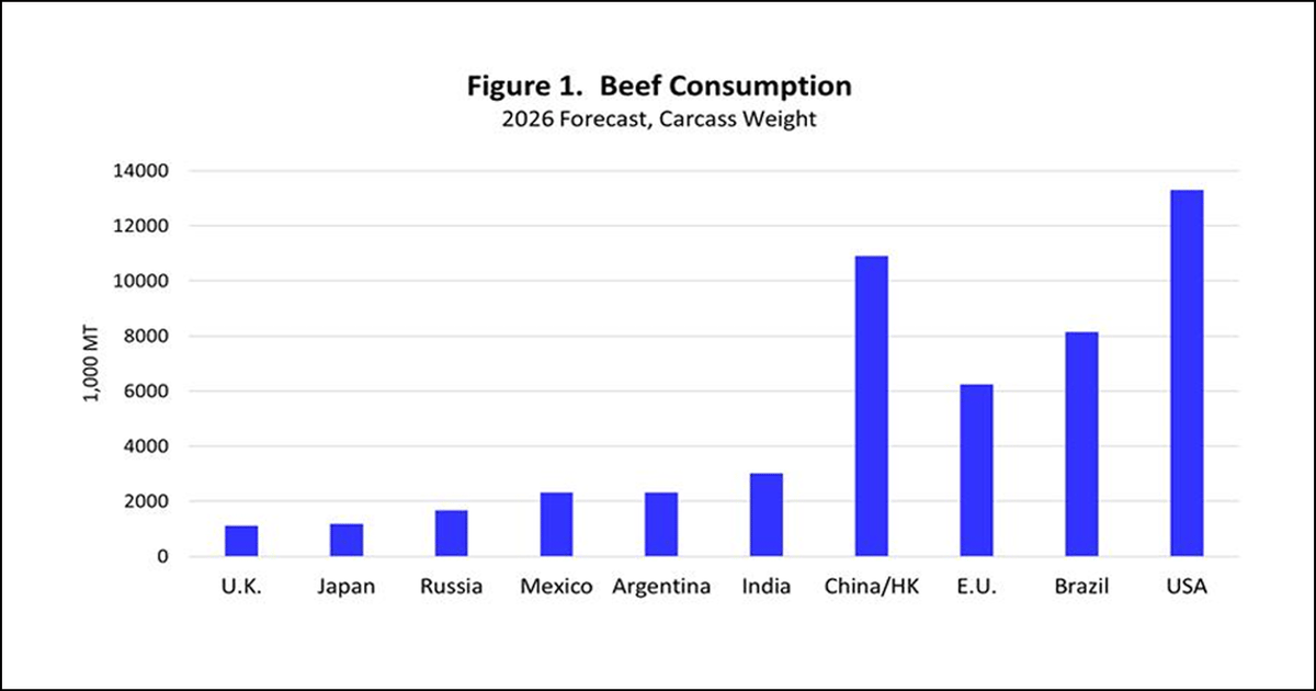 Global beef consumption and imports