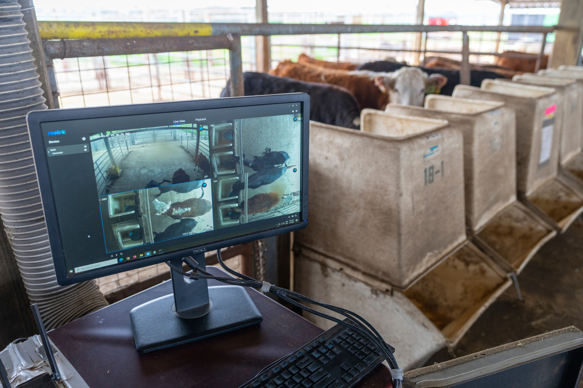 Livestock Management recent news | Beef Magazine