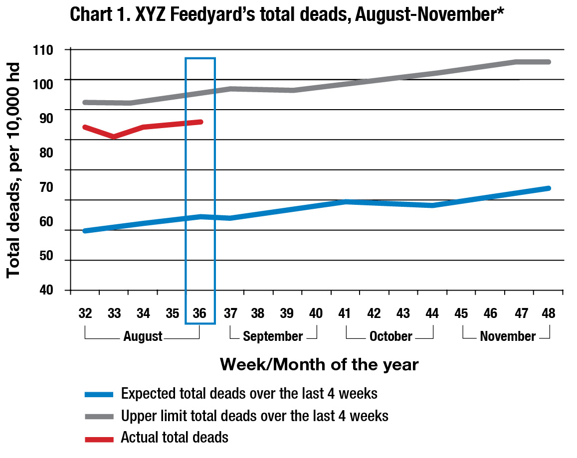 How to use mortality data to improve cattle health protocols
