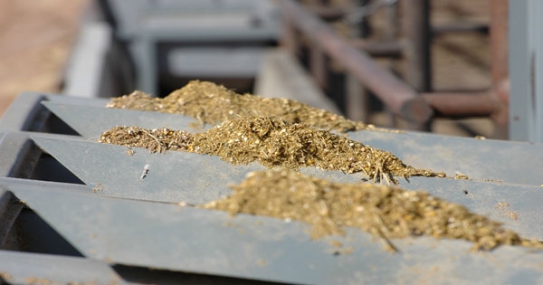 Get Creative With Beef Cattle Feed Options