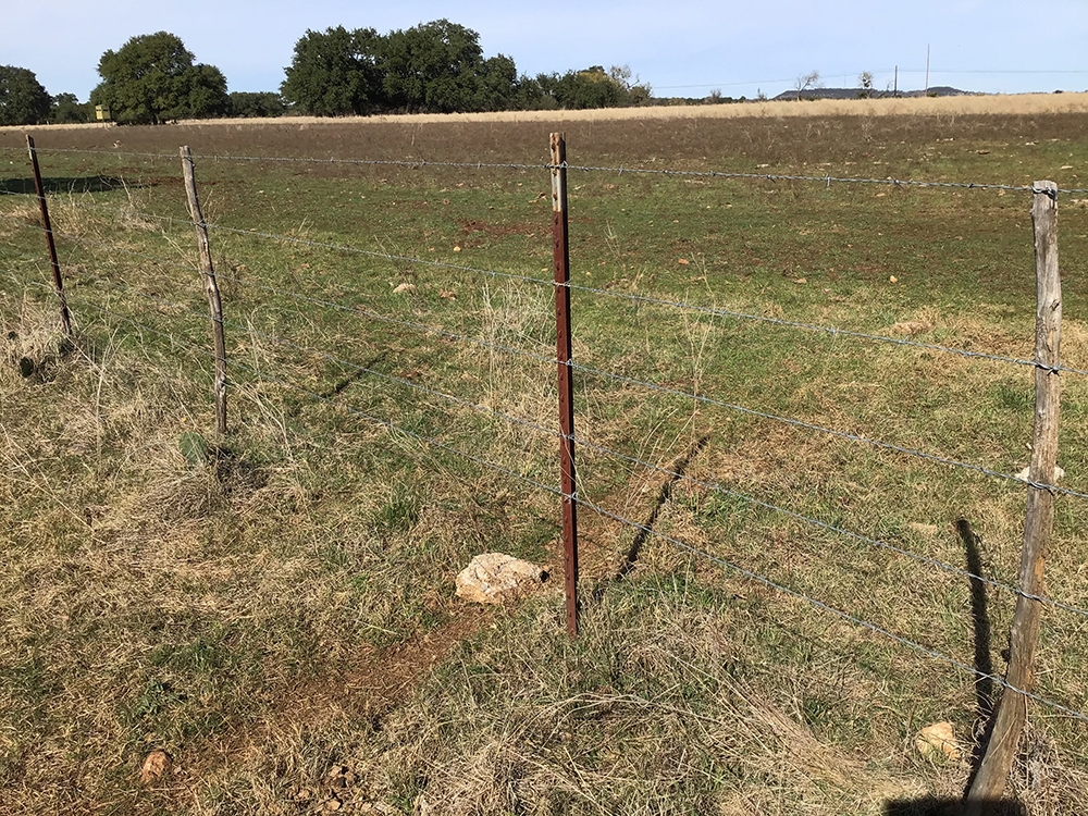 How one Texas rancher used pasture management to battle drought