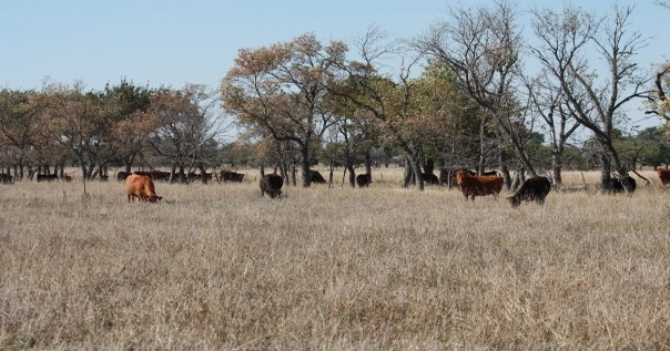 10 ways you know autumn on the ranch is near