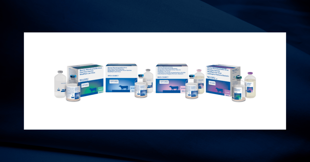 Virbac adds respiratory and reproductive vaccines to lineup
