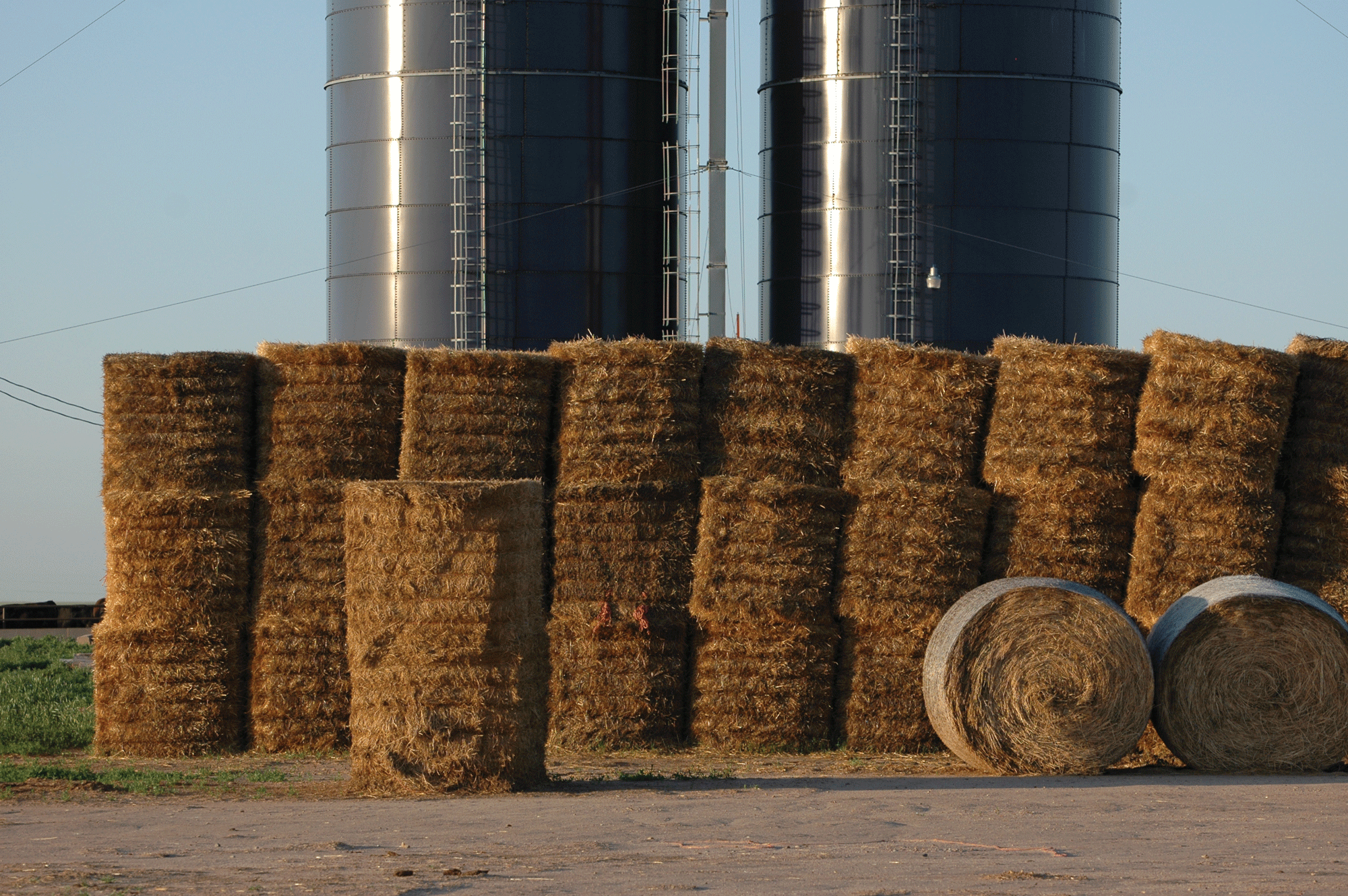 Questionable hay? Know your numbers before feeding