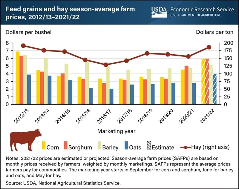 Higher inputs costs and feed costs face producers
