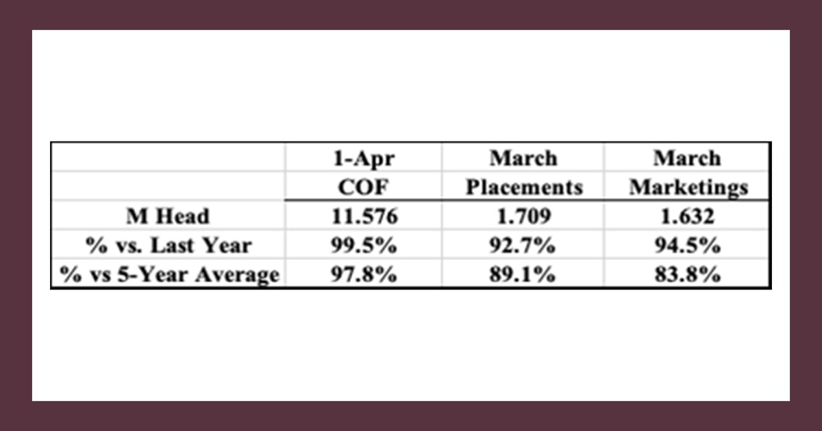 April 2026 USDA Cattle on Feed highlights