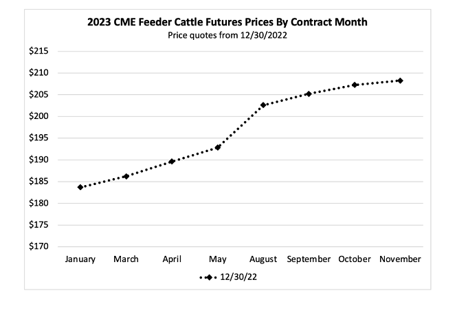 Cattle markets in 2023 and cattle on feed update