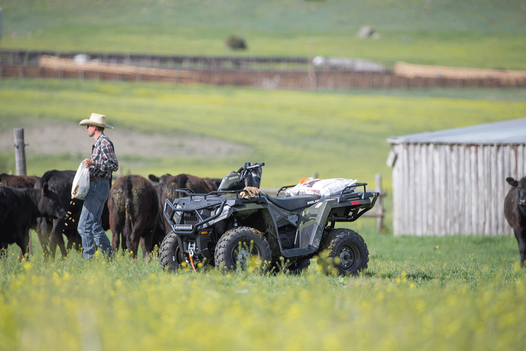 21 ATV, UTV and side-by-side units for 2015 | Beef Magazine