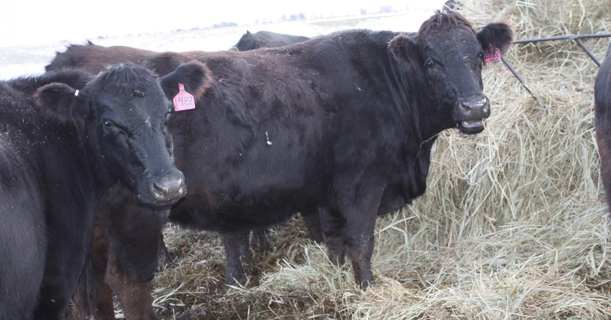 Cut feed costs with these helpful resources