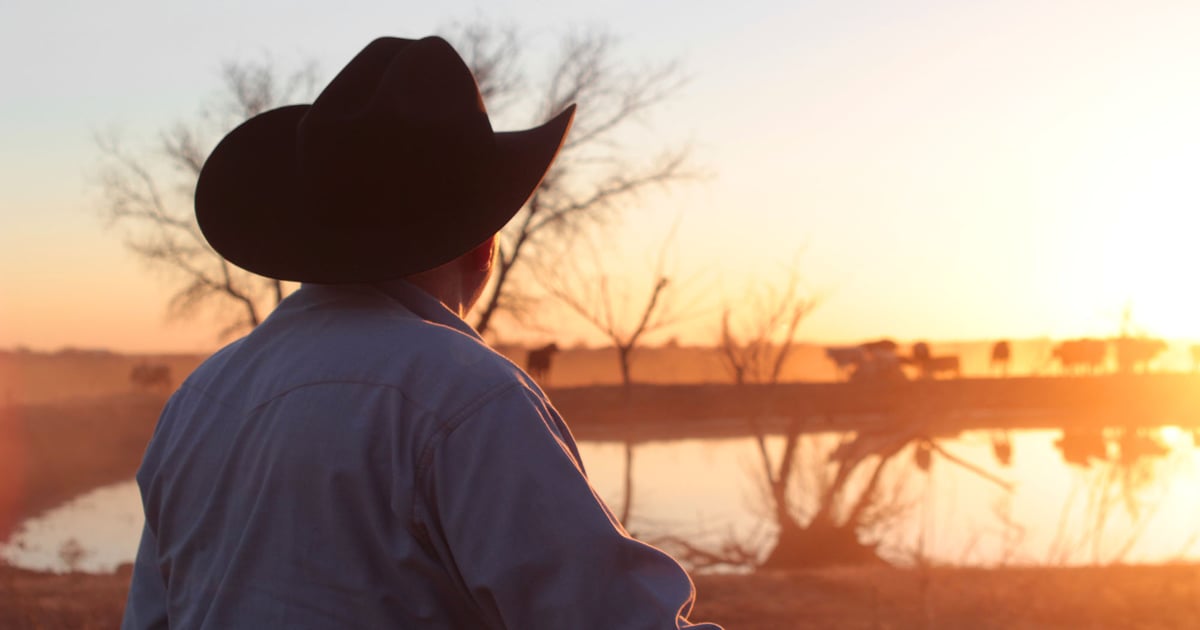 Reclaiming the supply chain: A new movement for American ranchers