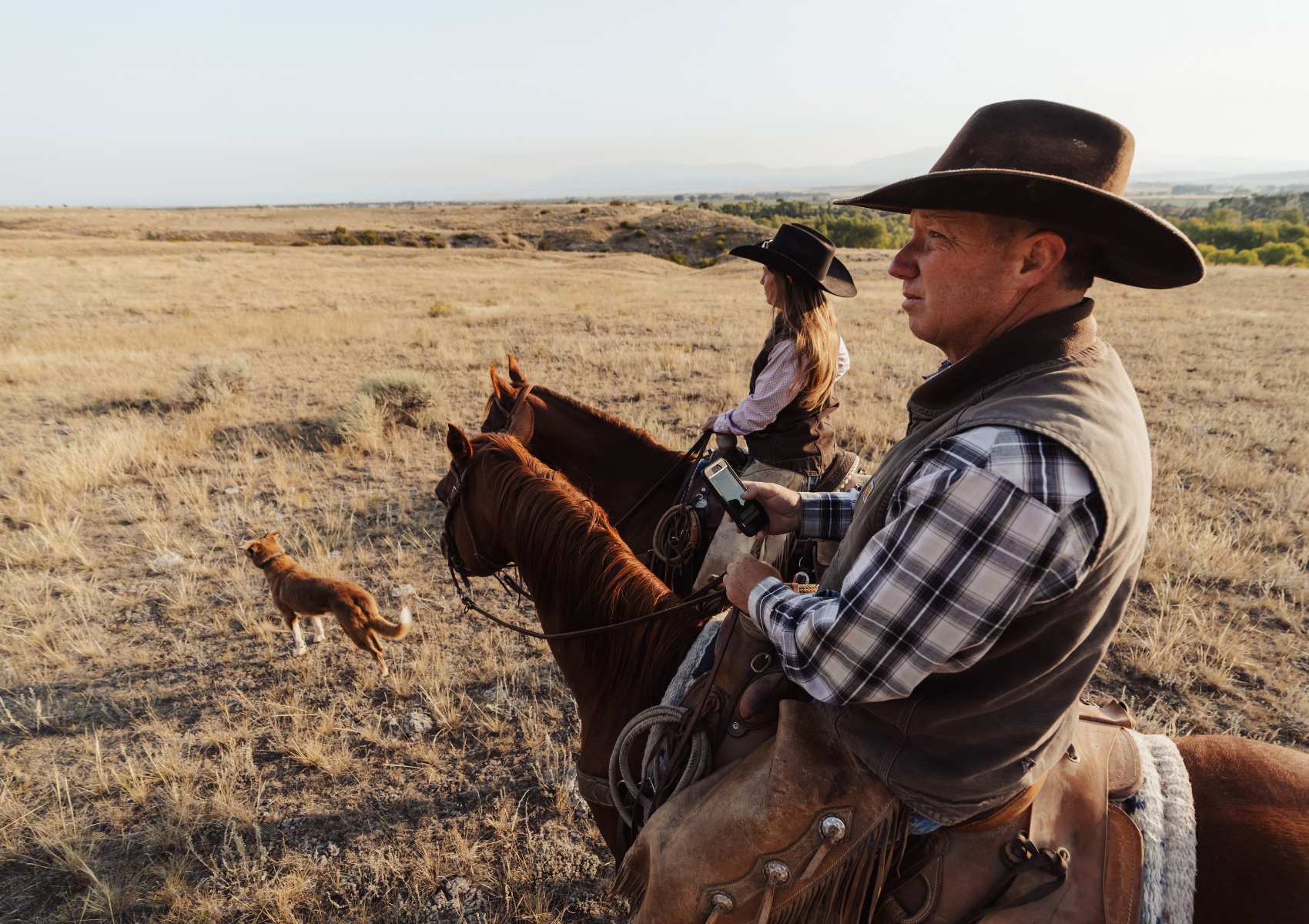 Virtual Fencing Is Reshaping Grazing for Producers