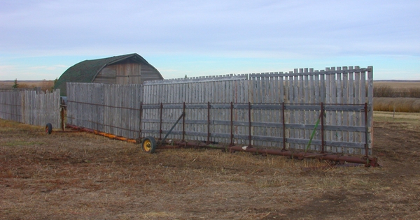 Cattle Comfort In Winter Pays In A Lot Of Ways