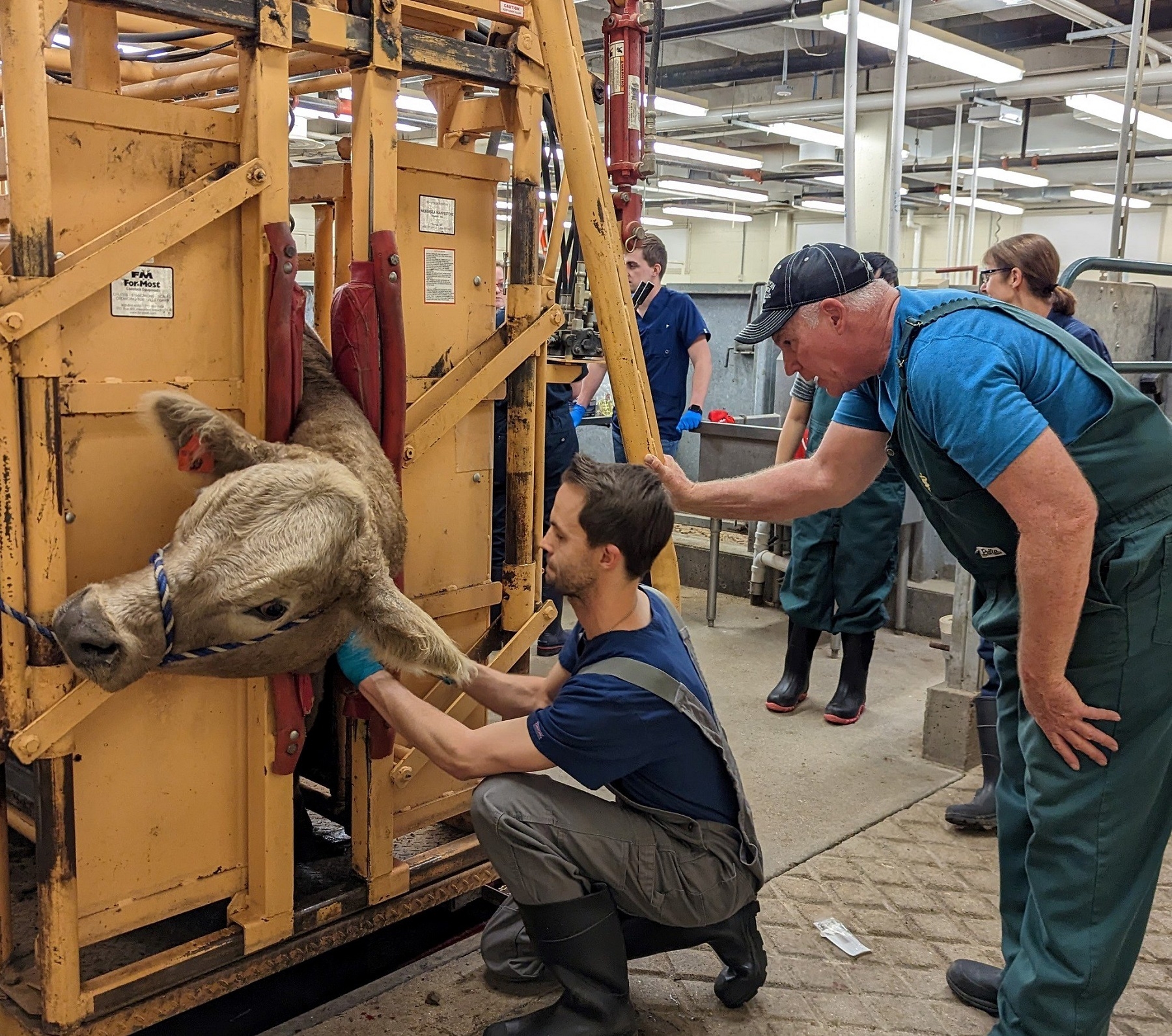 Livestock Management recent news | Beef Magazine